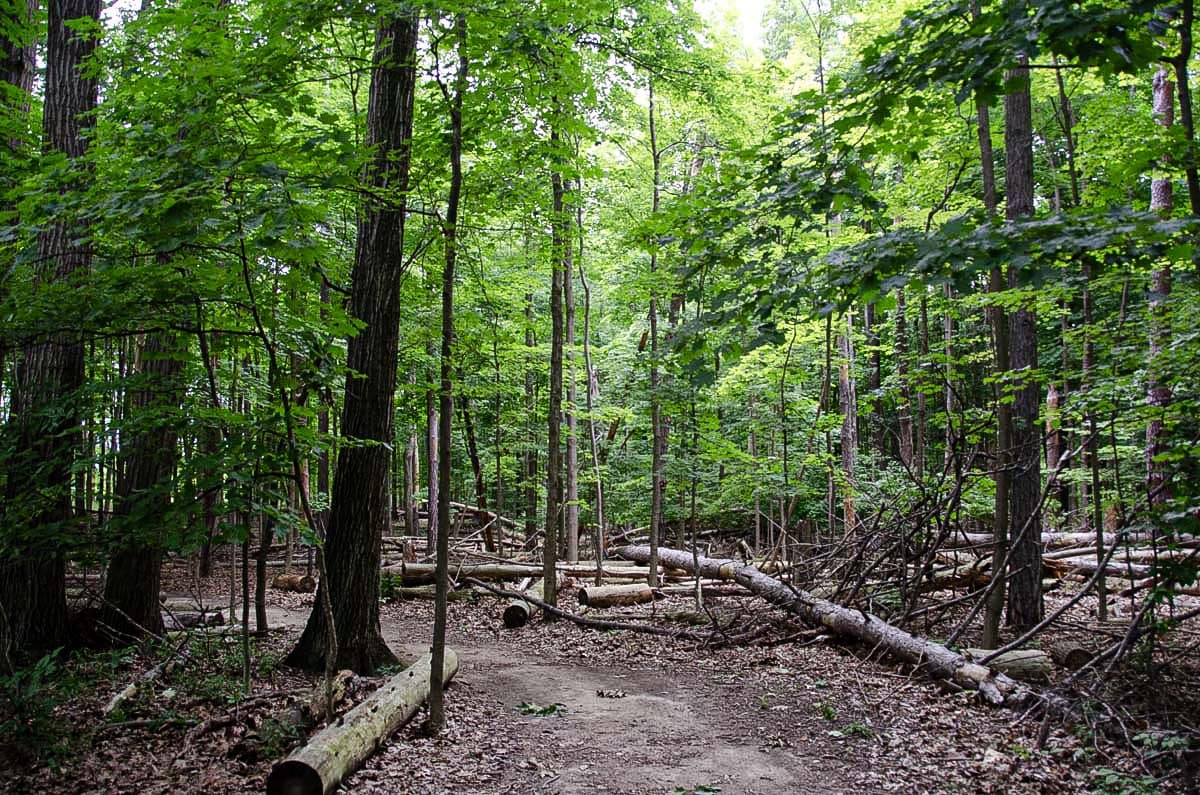 The Ultimate Family Hiking Gear Checklist